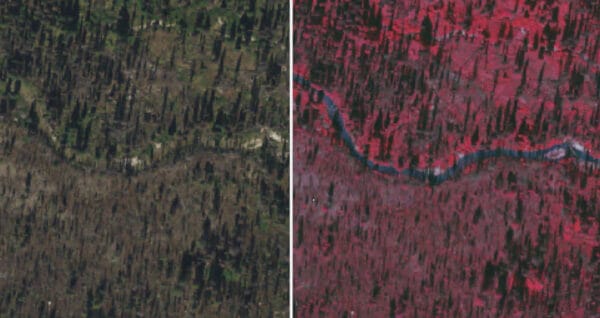 Split Screen View and Multiple Map Views in QGIS – OpenSourceOptions